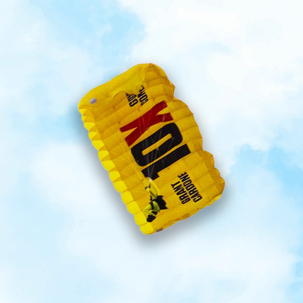 The REAL Impact Of Skydiving Into 10X Growth Conference | Grant Cardone ...