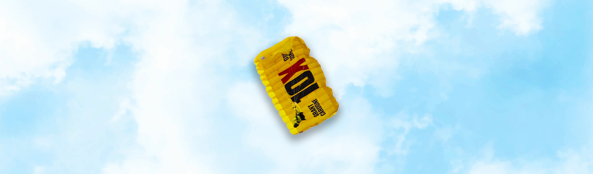 The REAL Impact Of Skydiving Into 10X Growth Conference | Grant Cardone ...